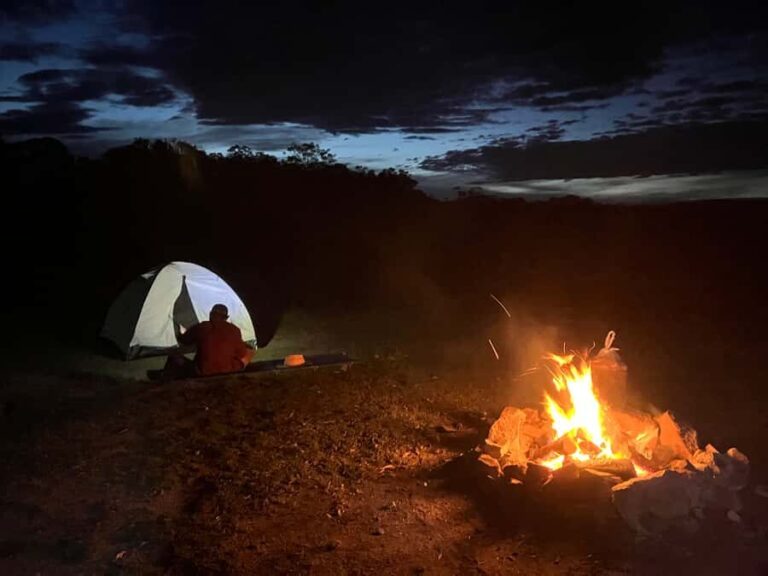 From Sydney: 2-Day Blue Mountains Camping 4WD & River Cruise - Who Will Love This Tour?