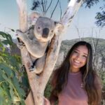 From Sydney: Blue Mountains Day Tour & Hop-on, Hop-off Tour - The Hop-on, Hop-off Sydney Experience