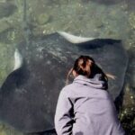 From Sydney: Day Tour to Jervis Bay with Beaches and Koalas - Authentic Experiences from Past Travelers