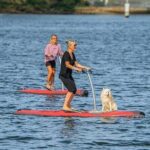 From Sydney: Full Day Tour of Golden Beaches and Ocean Vistas - Cost and Value