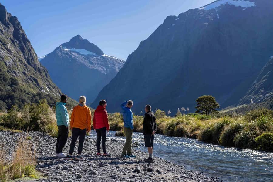 From Te Anau: Milford Sound Coach, Cruise, and Walks - What Makes This Tour Stand Out?