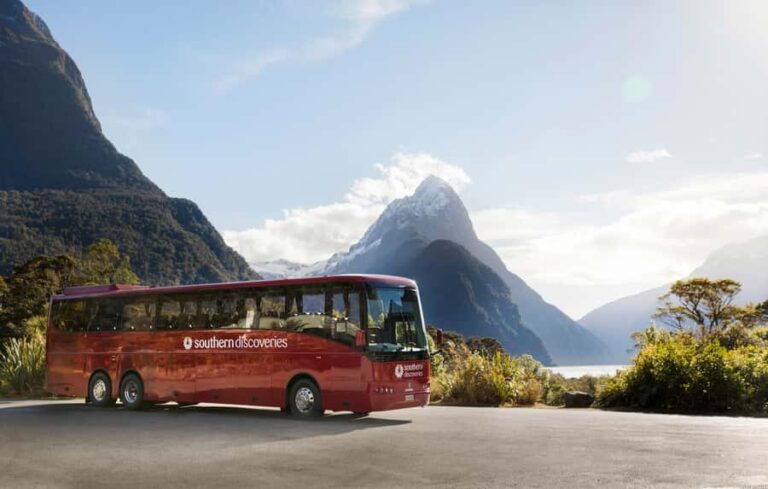 From Te Anau: Milford Sound Premium Bus Tour and Cruise - The Return Journey & Overall Timing