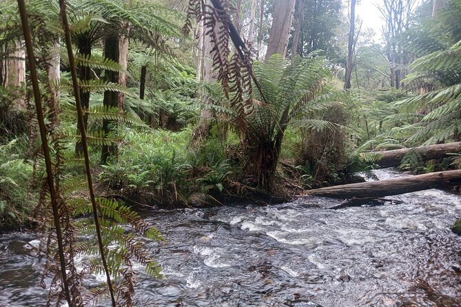Fruit Picking & Nature Private Tour Yarra Valley & Warburton - What’s Included and What’s Not?