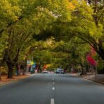 Full Day Adelaide Private Guided Car Tour - Is This Tour Worth It?