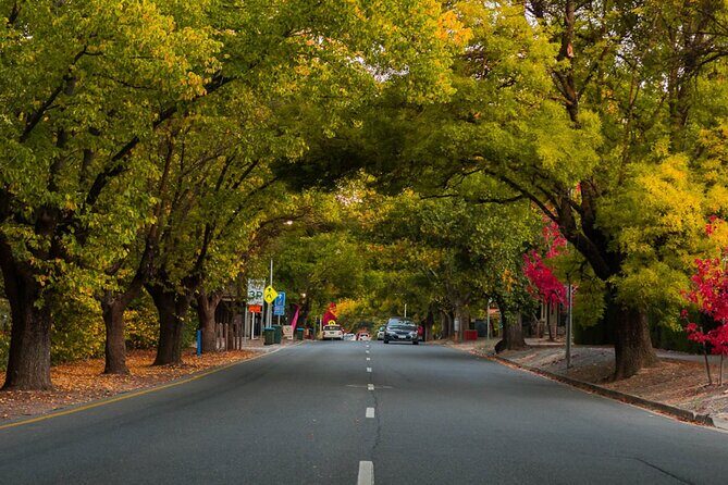 Full Day Adelaide Private Guided Car Tour - Is This Tour Worth It?