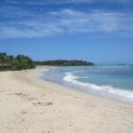 Full-Day Coral Coast Private Guided Tour - A Closer Look at the Itinerary