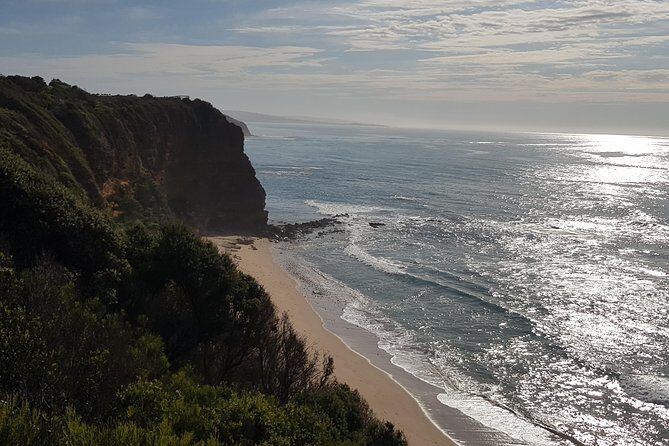 Full-Day Great Ocean Road Tour from Melbourne - Detailed Breakdown of the Itinerary