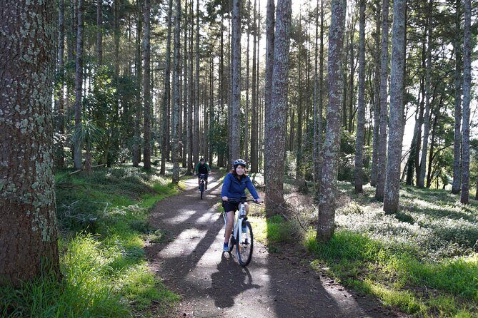 Full Day Guided Waikato River Trail E-bike Tour - What Makes This Tour Stand Out