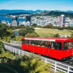 Full Day Guided Wellington Tour including guided tour at Te Papa - Who Would Love This Tour?