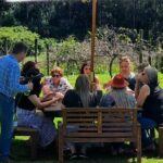 Full Day Guided Wine Tour in Mt Tamborine From Brisbane - What Makes This Tour Stand Out?