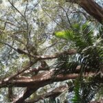 Full-Day Private Tour to Yakel Village, Waterfall and Mt Yasur Volcano - What’s Included and What’s Not