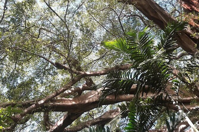 Full-Day Private Tour to Yakel Village, Waterfall and Mt Yasur Volcano - What’s Included and What’s Not