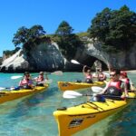 Full-Day Rainforest Getaway in Northland - Why This Tour Is a Great Choice