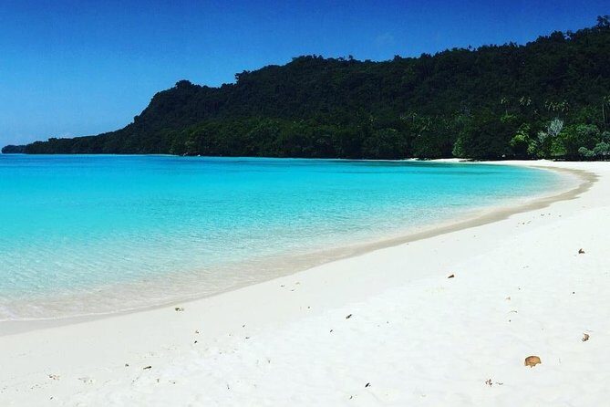 Full Day Santo Blue Hole, Champagne Beach, Million Dollar Point & Port Olry Tour - Authentic Insights from Reviews