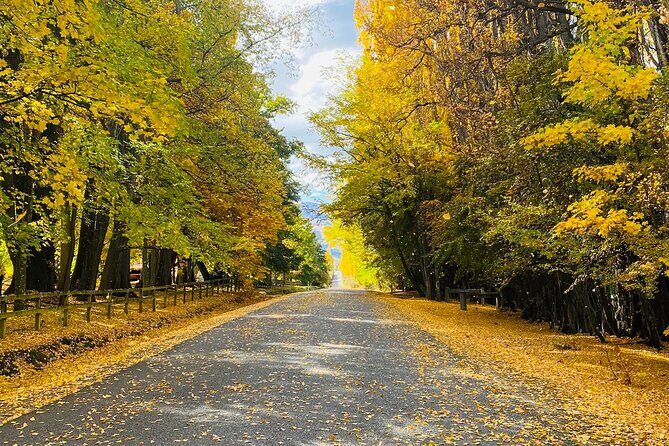 Full Day Sightseeing Tour To Discover Queenstown's Scenic Wonder - Exploring Queenstown’s Scenic Wonders