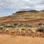 Full day The Painted Desert Tour in Outback South Australia - Authentic Insights from Reviews