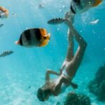Full Day Tour : Moorea Snorkeling & Sunset Cruise on a Catamaran named Taboo - An In-Depth Look at the Moorea Snorkeling & Sunset Cruise