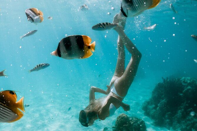 Full Day Tour : Moorea Snorkeling & Sunset Cruise on a Catamaran named Taboo - An In-Depth Look at the Moorea Snorkeling & Sunset Cruise