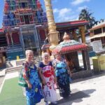 Garden Of Sleeping Giant ,Mudpool &Temple Tour From Coral Coast - Practical Details and What to Expect