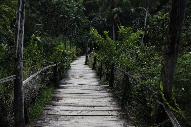 garden of the sleeping giant and mudpool tour combo - An In-Depth Look at the Tour Experience