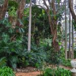 Glass House Mountains, Maleny and Montville Tour from Brisbane - Authentic Insights from Reviewers