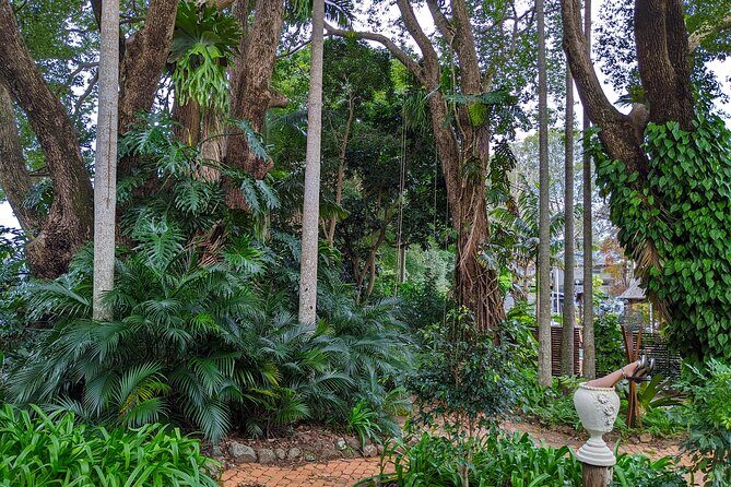 Glass House Mountains, Maleny and Montville Tour from Brisbane - Authentic Insights from Reviewers