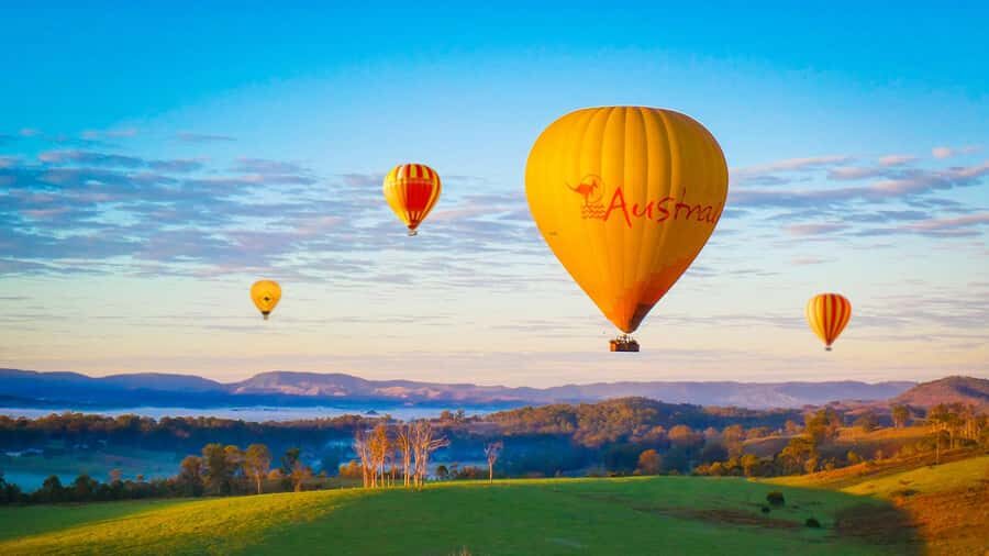 Gold Coast: Hot Air Balloon Flight+Vineyard Breakfast+Alpaca - The Breakdown: What to Expect in Detail