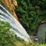 Gold Coast: Kangaroos, Rainforest & Waterfalls Experience - Authentic Experiences Based on Feedback