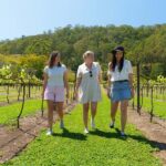 Gold Coast: Lamington Treetops, Wildlife and Vineyard Visit - The Sum Up