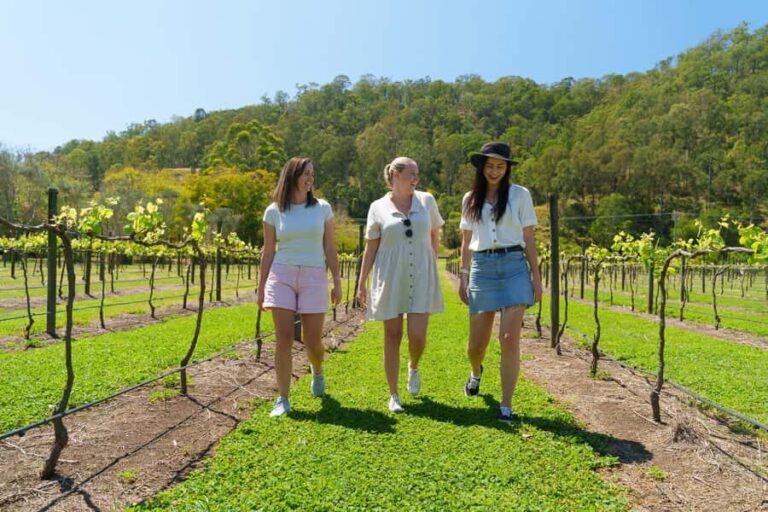 Gold Coast: Lamington Treetops, Wildlife and Vineyard Visit - The Sum Up
