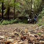 Great Lake Trail Lake Taupo 2-Day Mountain Biking Tour - Value and Practical Considerations