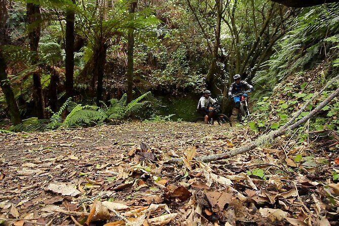 Great Lake Trail Lake Taupo 2-Day Mountain Biking Tour - Value and Practical Considerations
