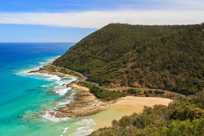 Great Ocean Road In 8 Hours Express Private Tour - The Itinerary in Detail