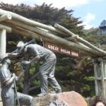 Great Ocean Road Small-Group Tour with Ethical Wildlife - Discovering the Genuine Value of the Tour