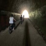 Guided Evening Glow Worm Experience - Byron Bay - Exploring the Itinerary in Detail