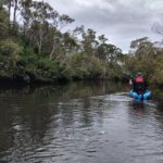 Guided Kayak Adventure Tour - A Deeper Look at the Guided Kayak Adventure Tour