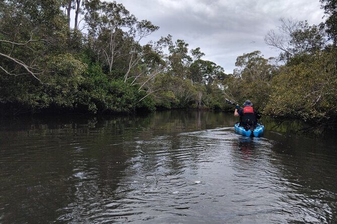 Guided Kayak Adventure Tour - A Deeper Look at the Guided Kayak Adventure Tour