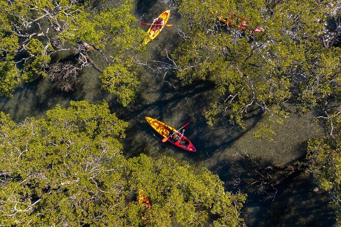 Guided Kayak Tour - Final Thoughts: Is It Worth It?