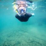 Guided Snorkeling and Island Exploration in Auckland - An In-Depth Look at the Itinerary