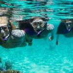 Guided Snorkeling Experience in Bondi - The Value and Practicalities