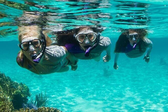 Guided Snorkeling Experience in Bondi - The Value and Practicalities