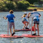 Guided Step-Up Paddle Board Tour of Narrabeen Lagoon - Practical Insights and Tips