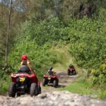 Guided Tour of Bora Bora by Quad - What the Tour Offers: An In-Depth Look