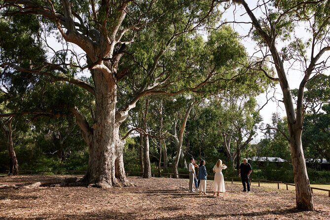 Guided Warriparinga Cultural and Historical Tour - Final Thoughts