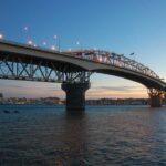 Half Day Auckland City Sightseeing Tour with Expert Guide - Who Is This Tour Best For?