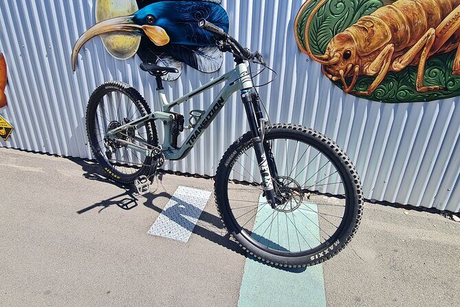 Half Day Full Suspension Acoustic Mountain Bike Rental - The Practicalities