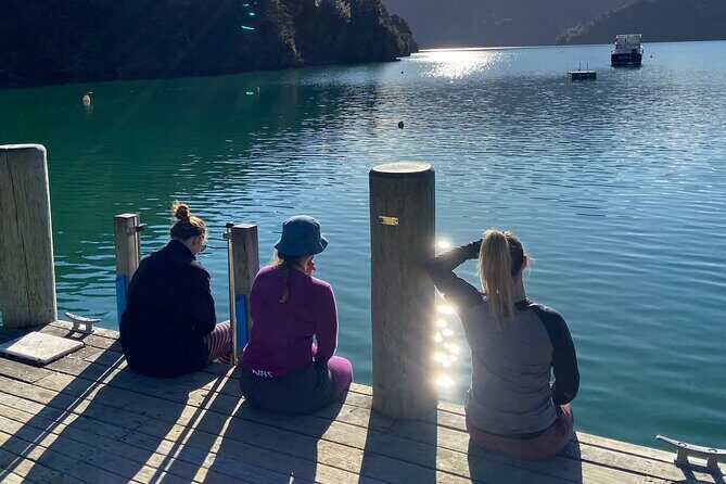 Half-Day Guided Sea Kayak Trip from Picton - The Authentic Experience from a Traveler’s Perspective