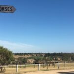 Half Day Living Legends tour with Devonshire Tea - Why This Tour Might Be Perfect for You