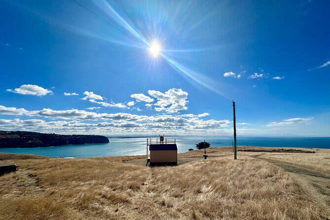Half Day Luxury Private Guided Crater Rim Walk - Who Will Love This Tour?
