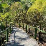 Half Day Nadi Tour Temple, Market, Gardens and Mud Pools - Who Would Love This Tour?